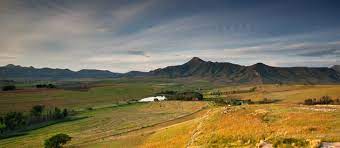 About Us – Tswelopele Local Municipality